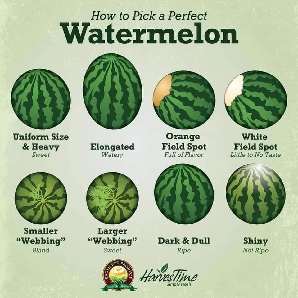 How to Pick A Perfect Watermelon - ProGreen Plus